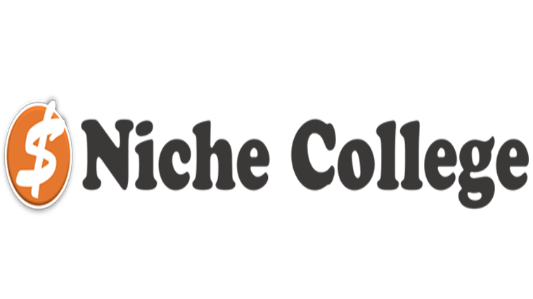 Beginners Guide » Niche College
